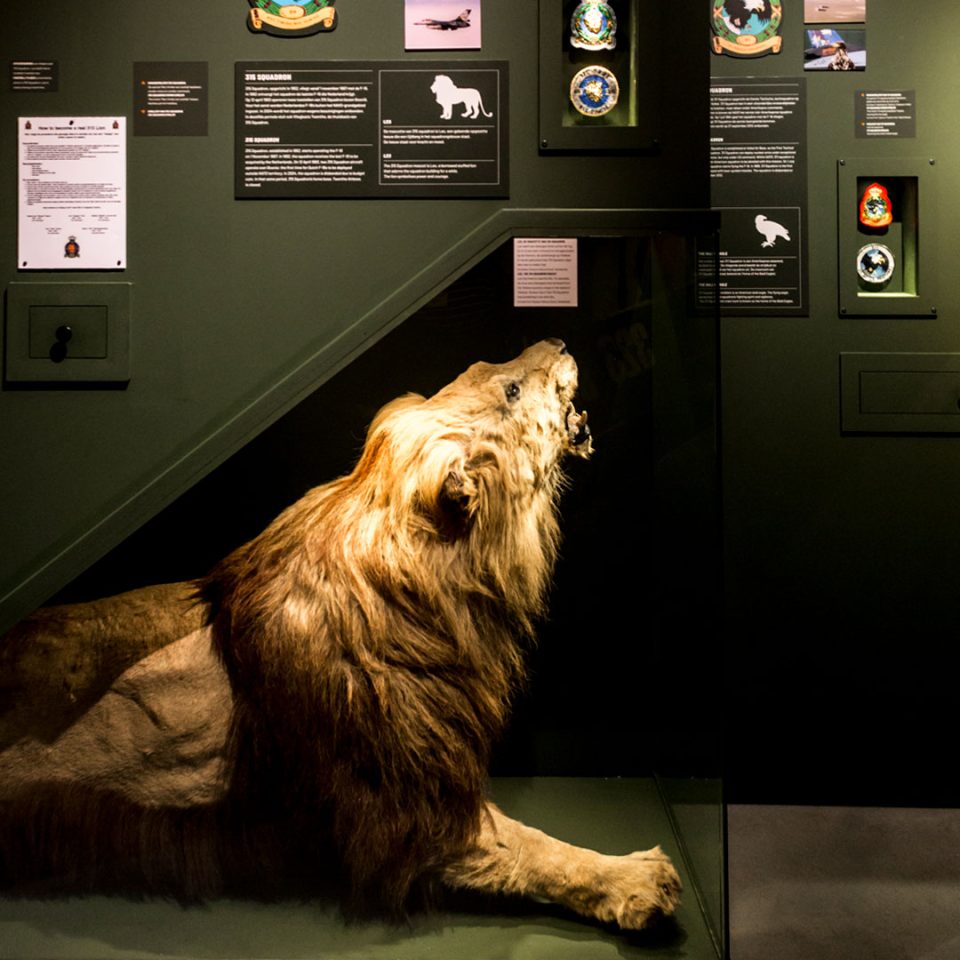 Het grootste kanon in ons museum - Nationaal Militair Museum