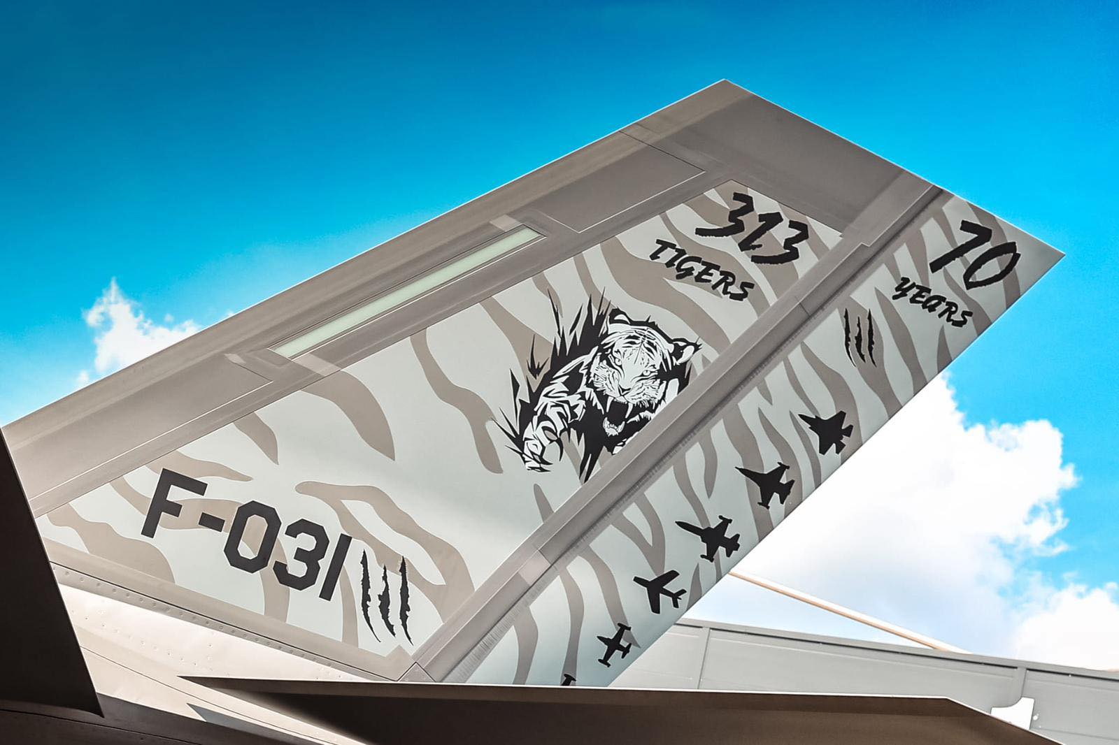 313 Squadron - Nationaal Militair Museum